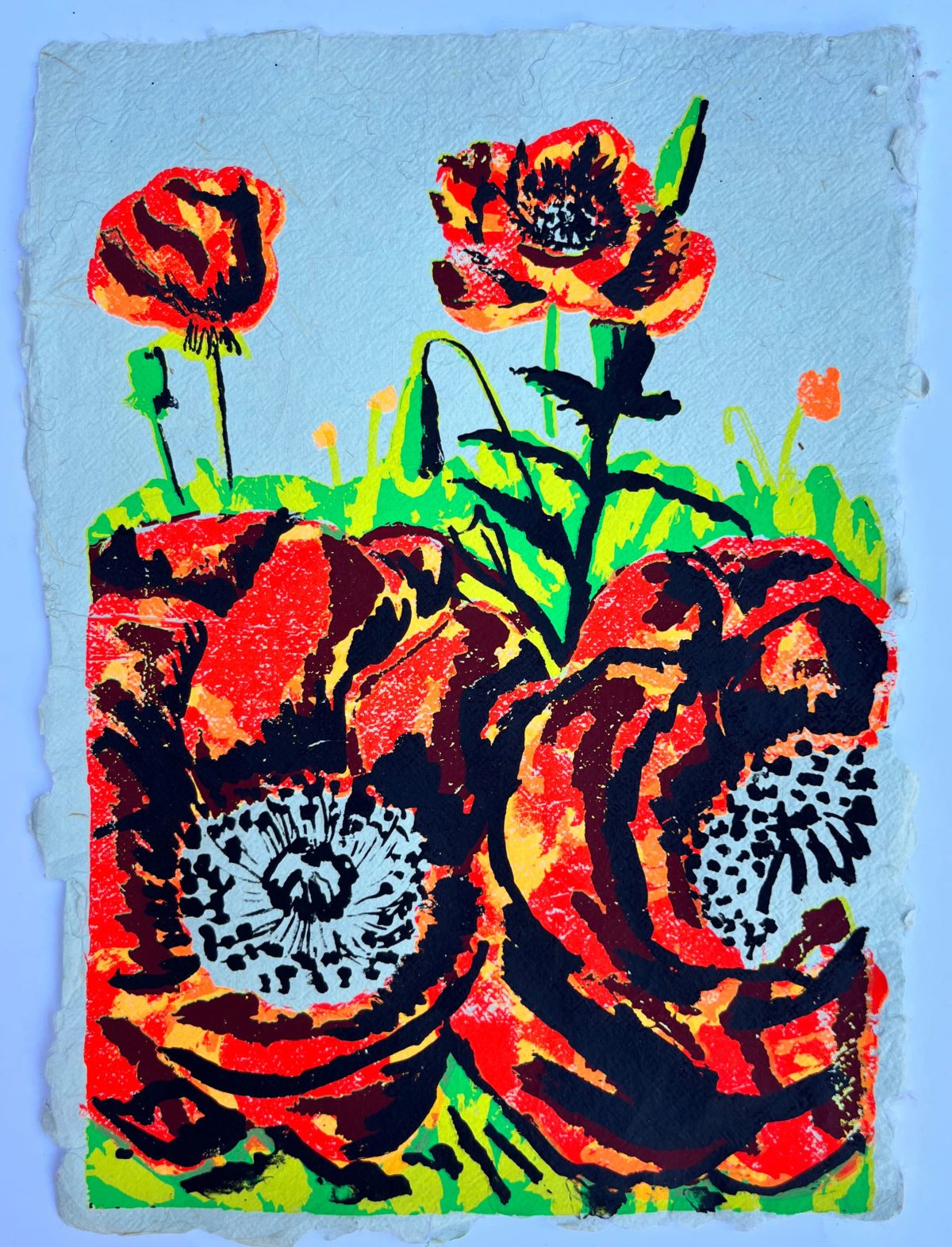 flores-volcan